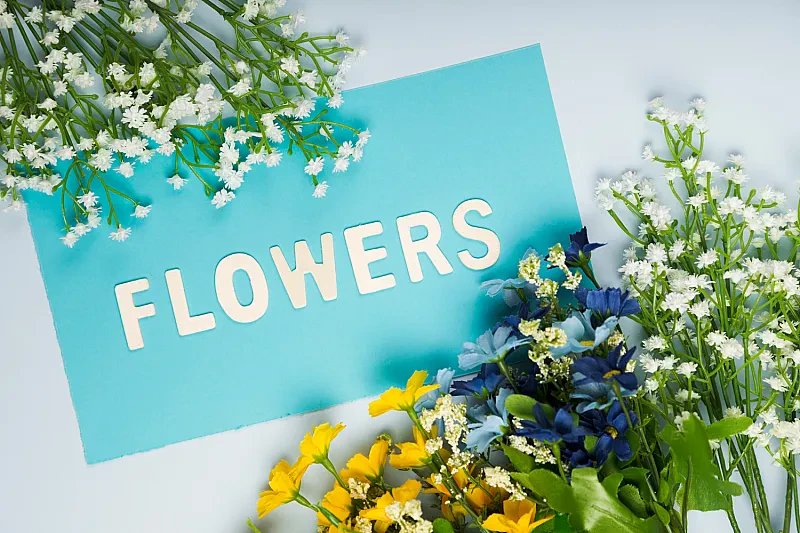 The Beauty and Benefits of Flowers: Exploring the World's Most ...